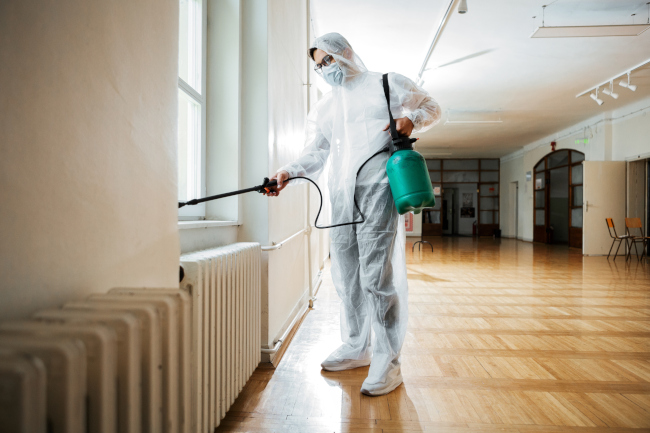 Benefits of Using a Professional Pest Control Service | Wright Choice ...